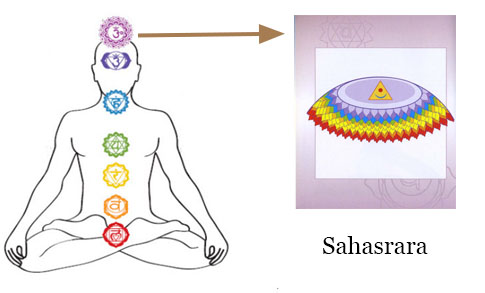 Chakra Meditation : A Definitive Guide for Absolute Beginners ...